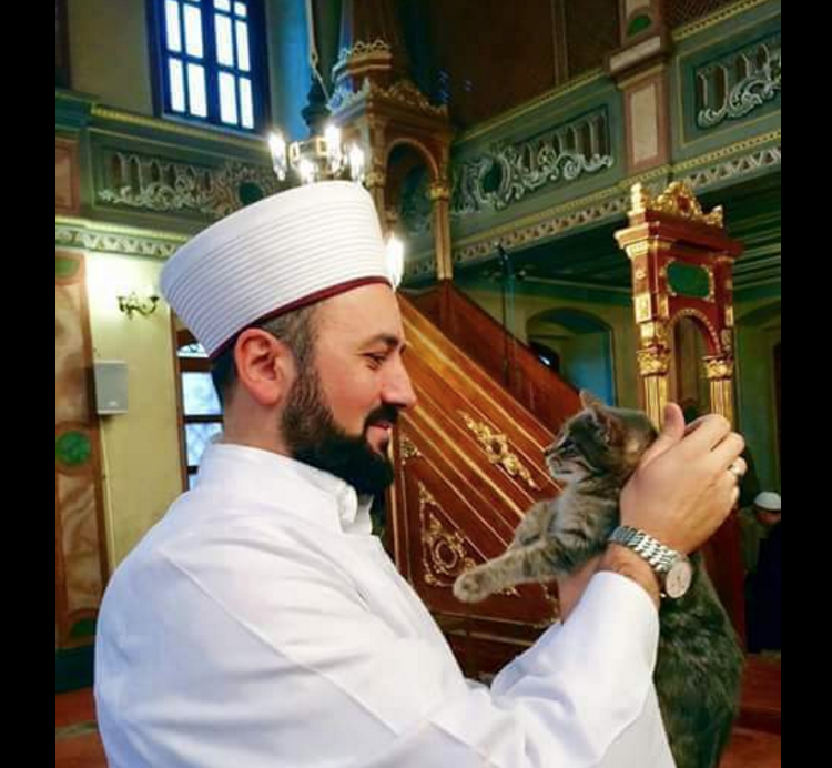 This Turkish imam and his cats are making everyone's day a little ...