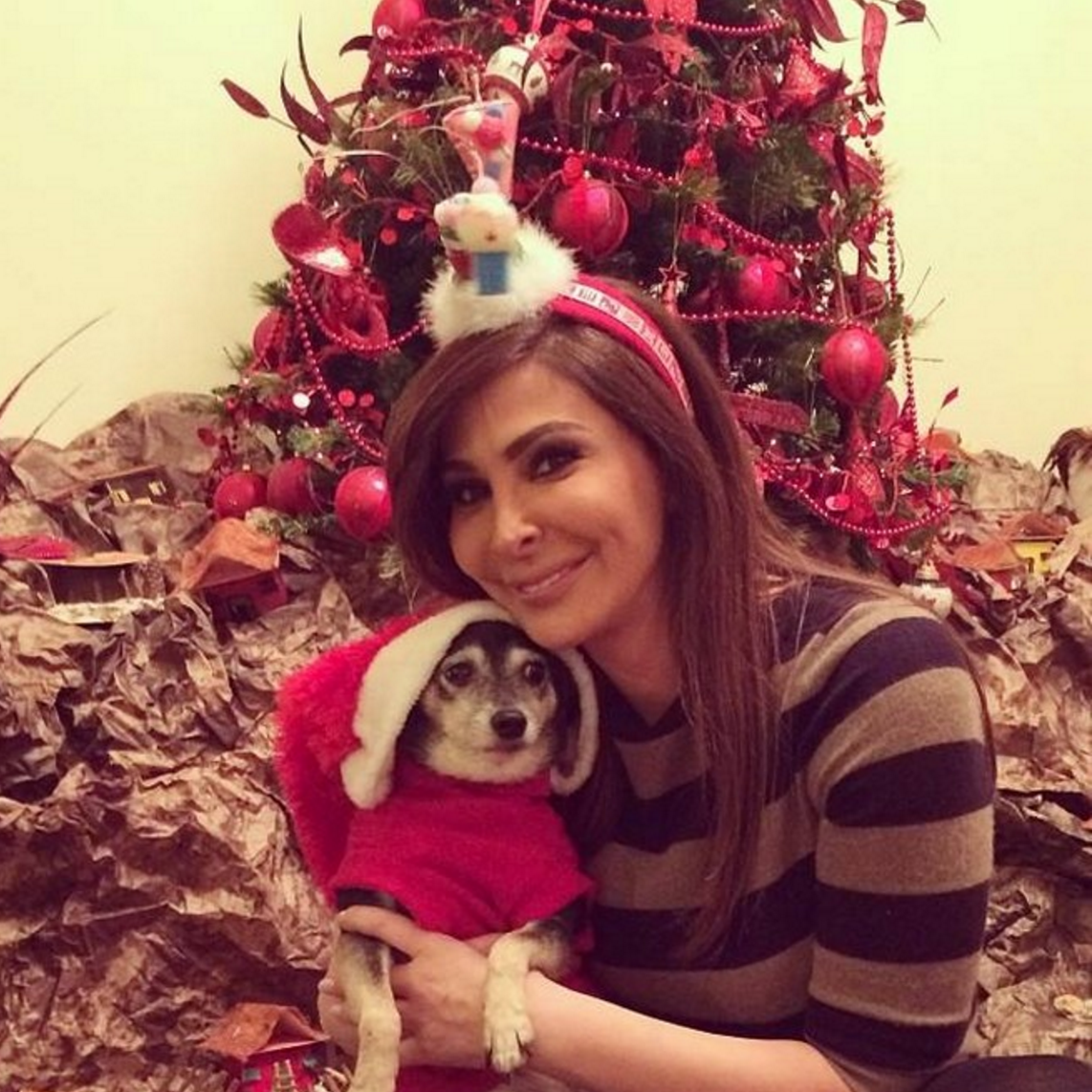 Goodbye old friend: Elissa mourns the death of her beloved dog 'Lady ...