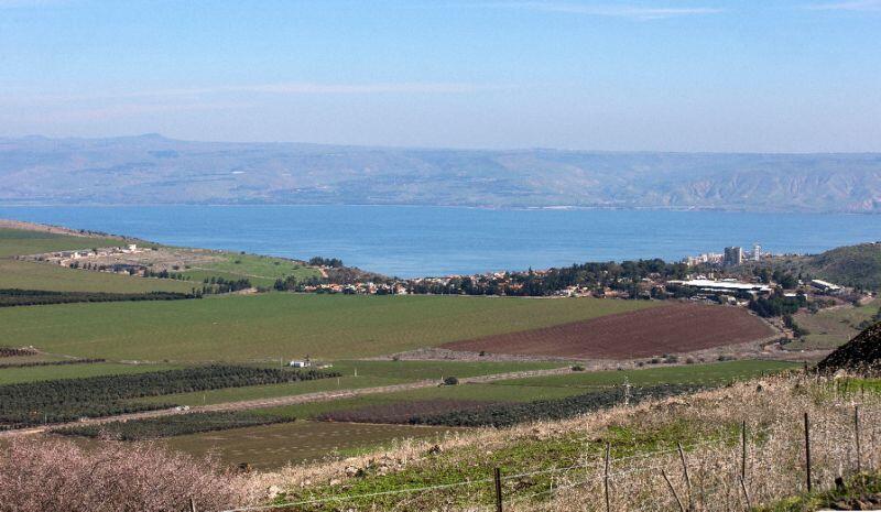 Two people killed, three wounded in Galilee shooting | Al Bawaba