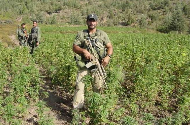 Nostalgic for a better life: a look back at the cannabis farms of ...