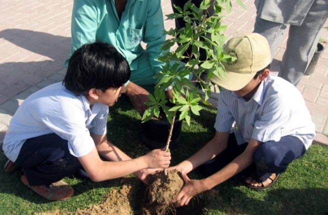 EEG partners with Al Hilal Bank in Tree Planting Program | Al Bawaba