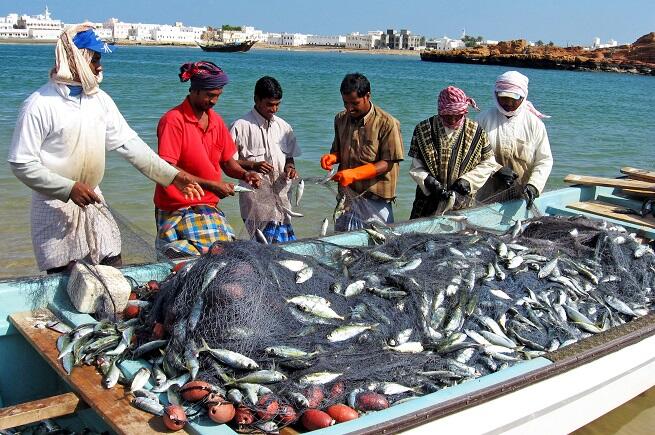 Oman's Fisheries Sector to Increase to RO1.3 Billion in 2023 | Al Bawaba