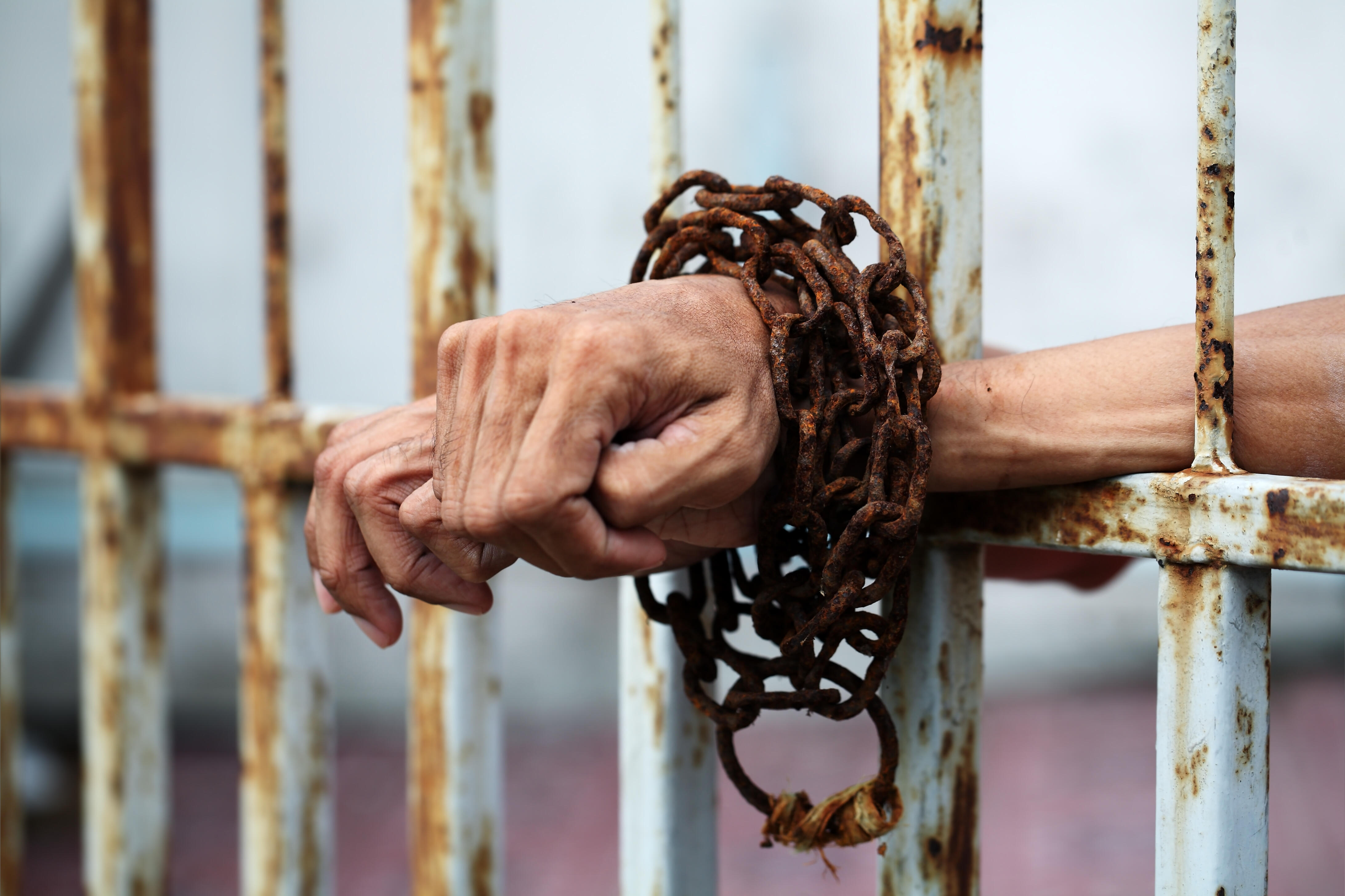 Iranian rapper faces the music with 74 lashes and five years in jail ...