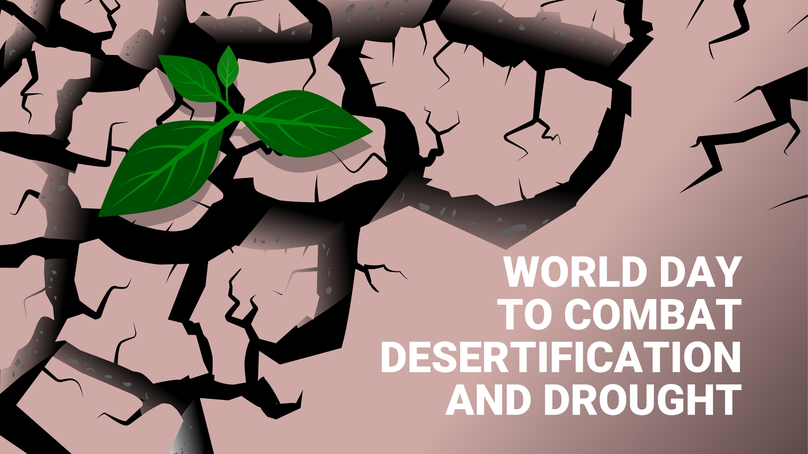 How Technologies Can Help Combat Desertification and Drought in The ...