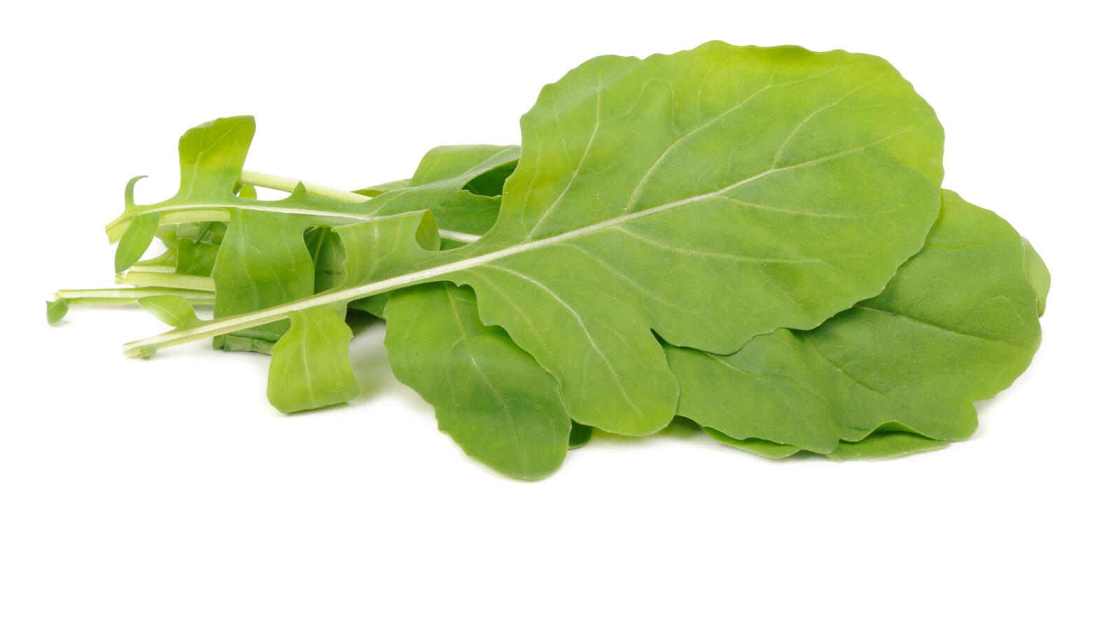 ما هو نبات الجرجير؟ وما هي عناصره الغذائية؟ | البوابة