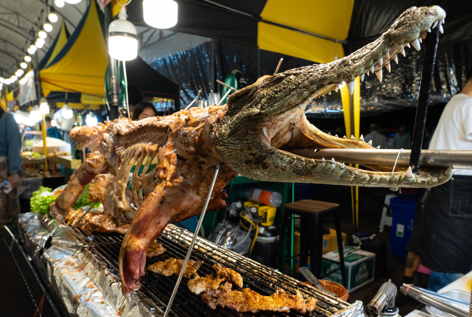 Video of Saudis Cooking a Crocodile Feast Sparks Outrage in the Kingdom ...